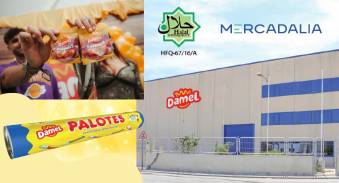 Damel Group continúa su crecimiento en facturación, inversión y capacidad