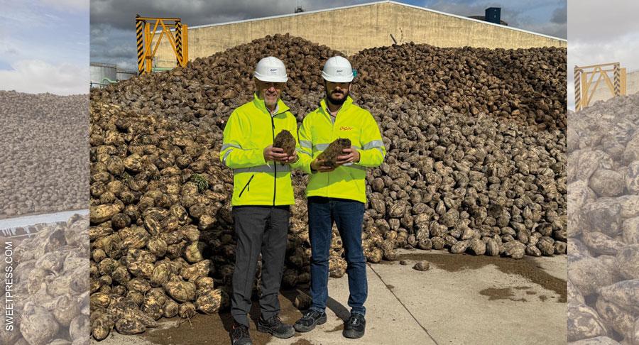 ACOR begins the 2025-26 sugar beet campaign with a good outlook
